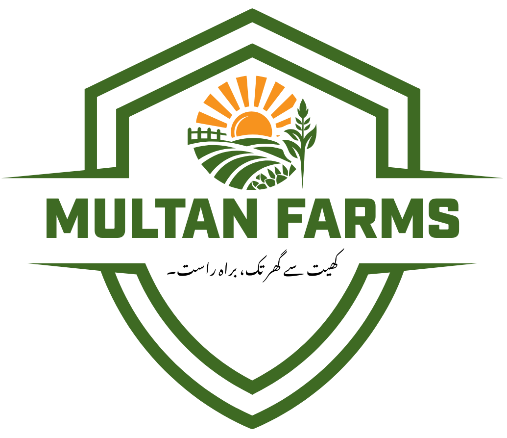 When Do Pakistani Farmers Know It's Time to Plant? - Multan Farms